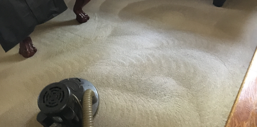 Extreme Clean – Carpet and Tile Cleaning